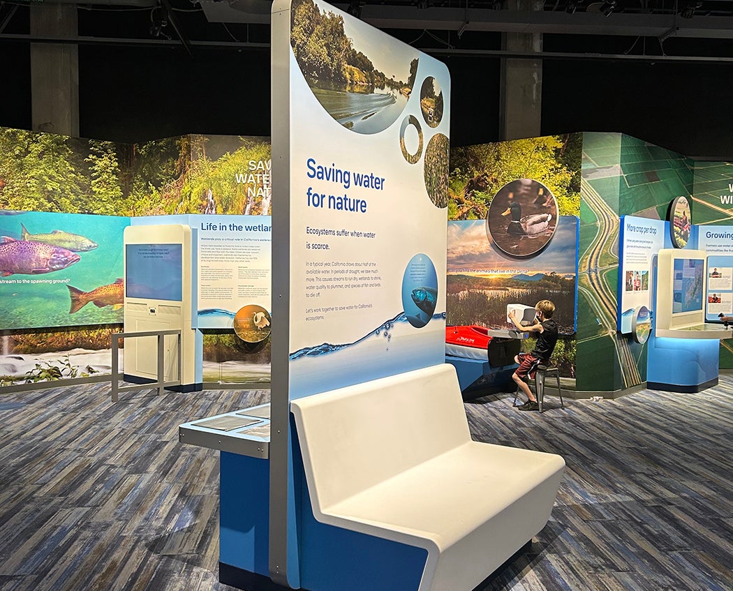 Examples – The Exhibition & Experience Design Handbook